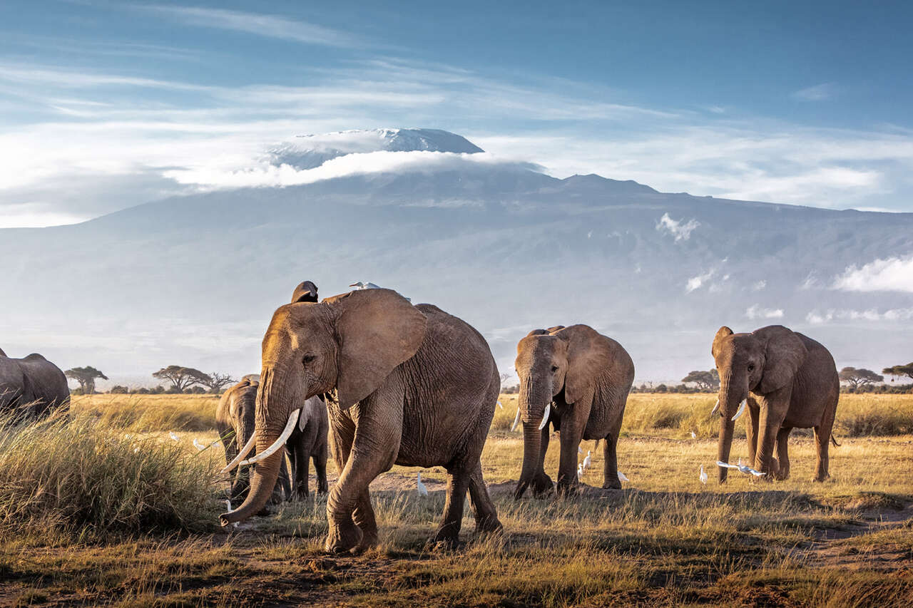 Obnovené cesty do Keni | magazín | Letuška.cz